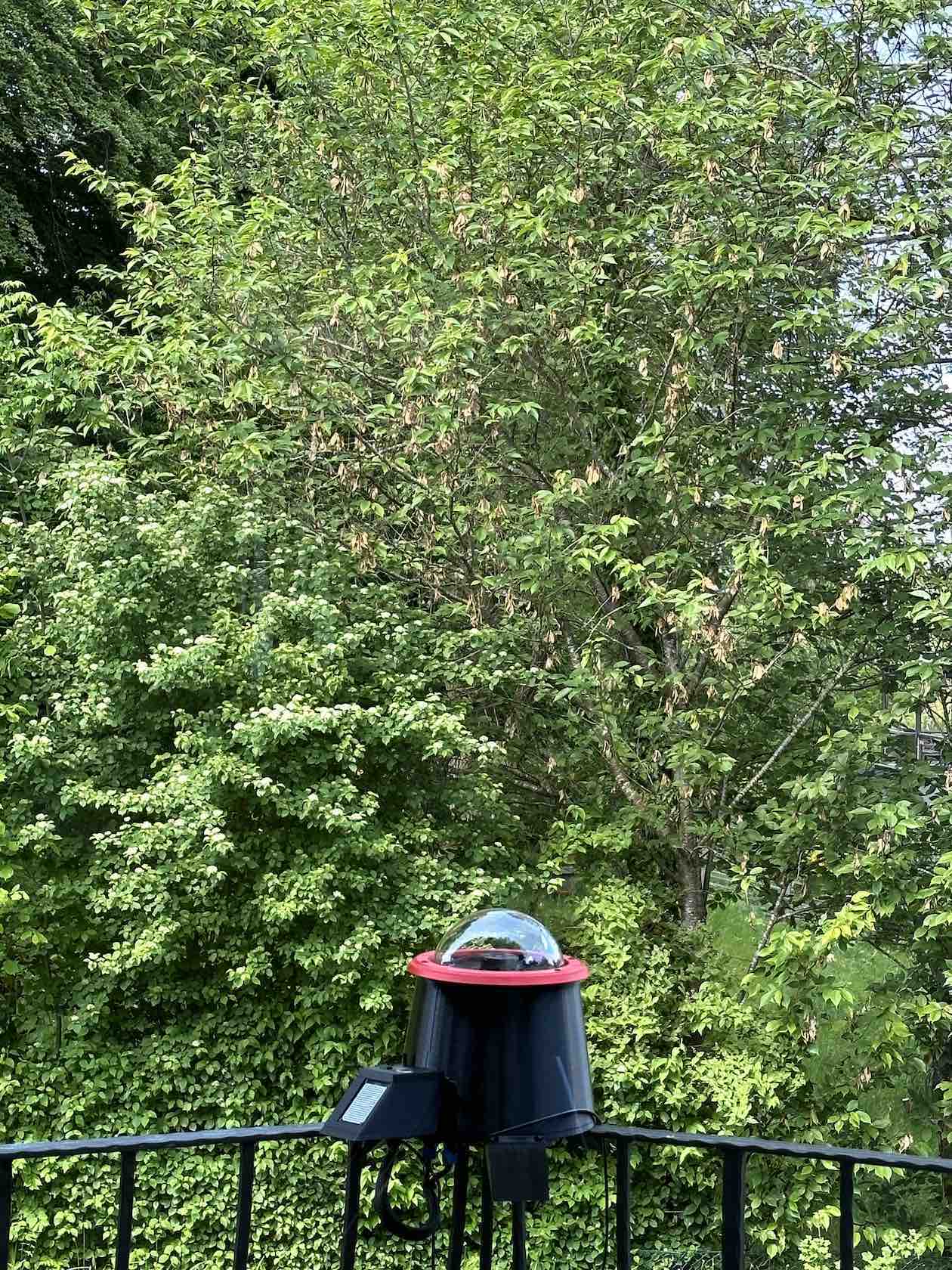 Assembly and wiring - The Bright Knight